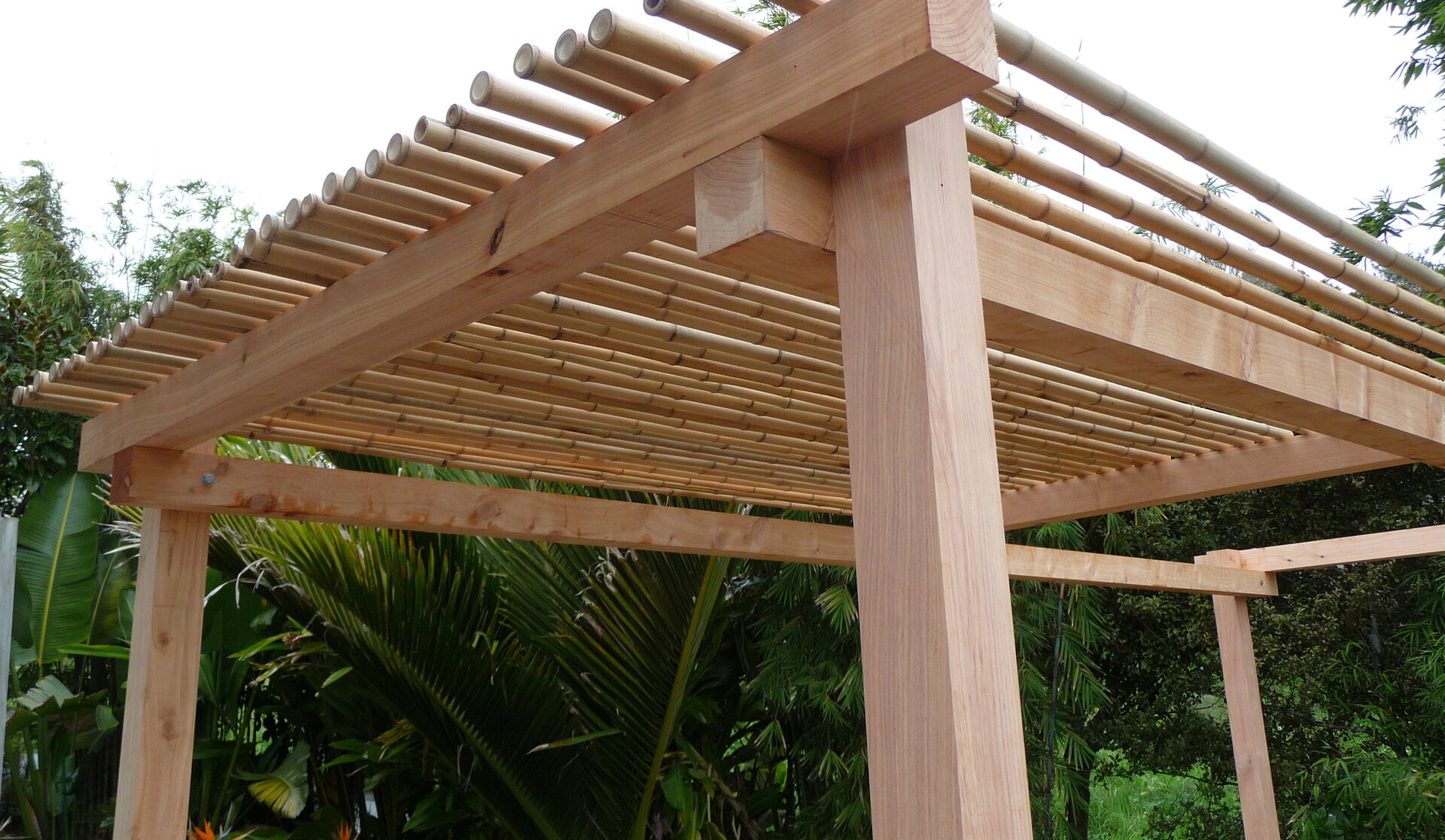 Bambusero | NZ bamboo fencing | bamboo poles | New Zealand